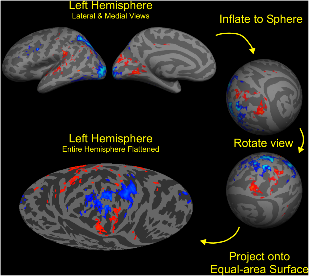 Gray/Black inflated brain (like freesurfer) · Issue #3 · dfsp-spirit ...