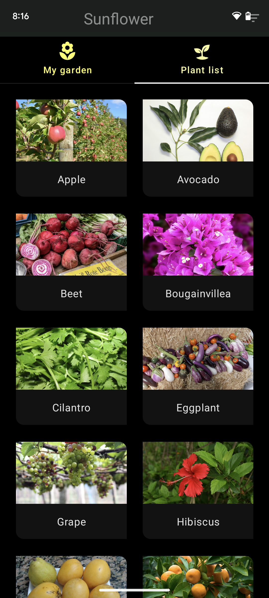 Top app bar is overlapping with the status bar · Issue #842 · android/sunflower · GitHub