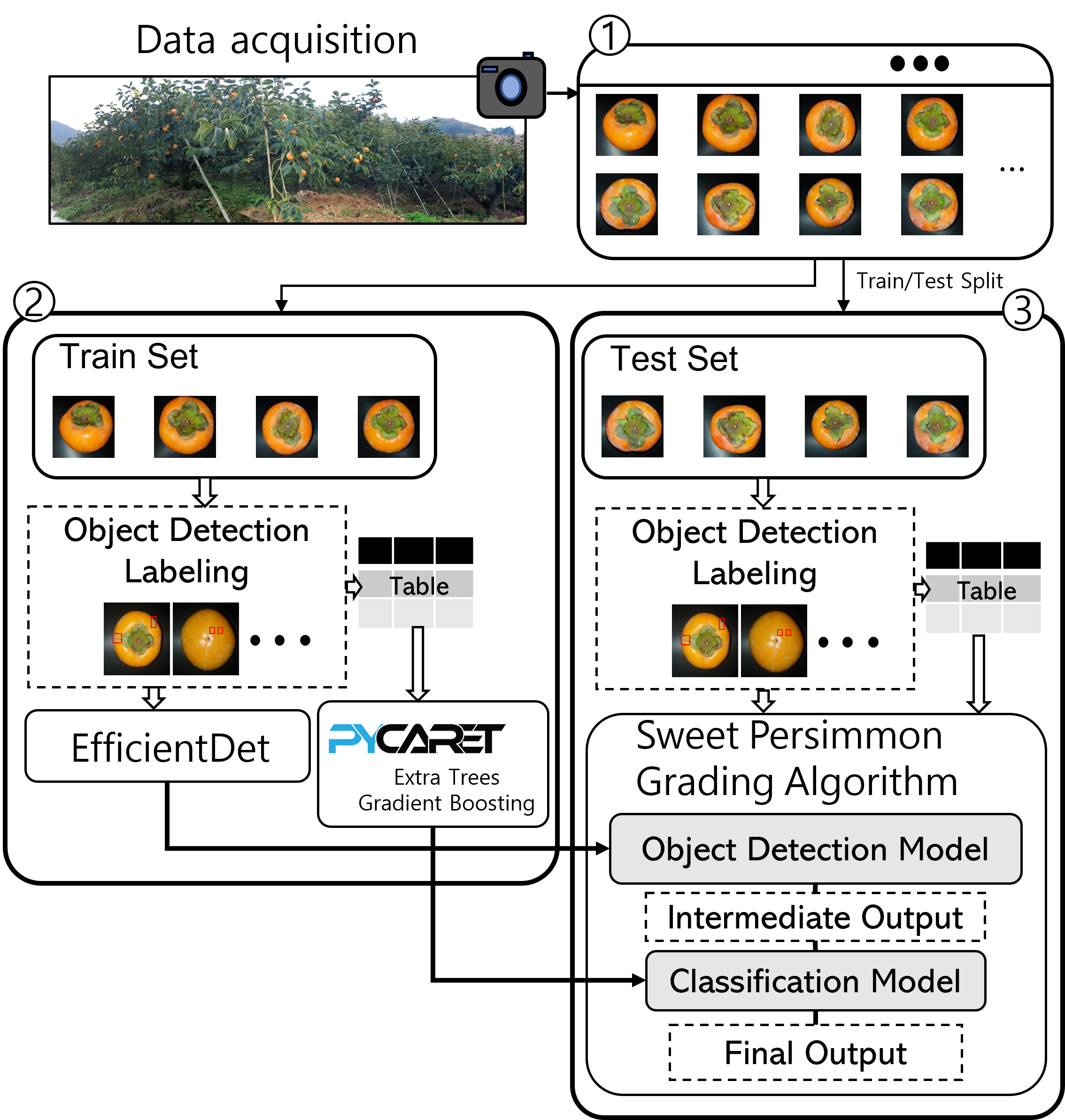 GitHub - roh200413/persimmon_DL