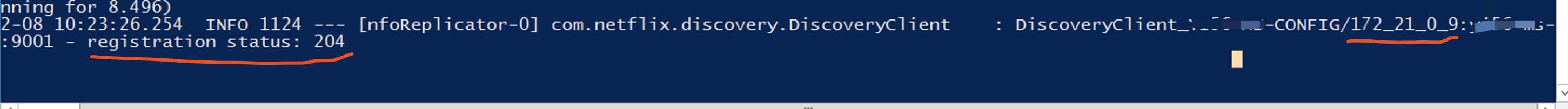 Registration status 204 · Issue #1379 · Netflix/eureka · GitHub