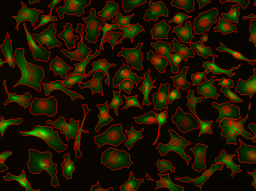 Command To Segment Cellpose Images Based On Omnipose · Issue 19 · Kevinjohncutler Omnipose · Github