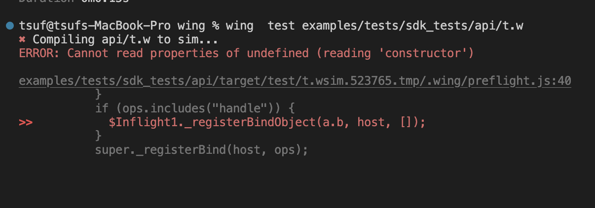 Cannot Reach Optional Struct Fields Inflight · Issue 2796 · Winglangwing · Github