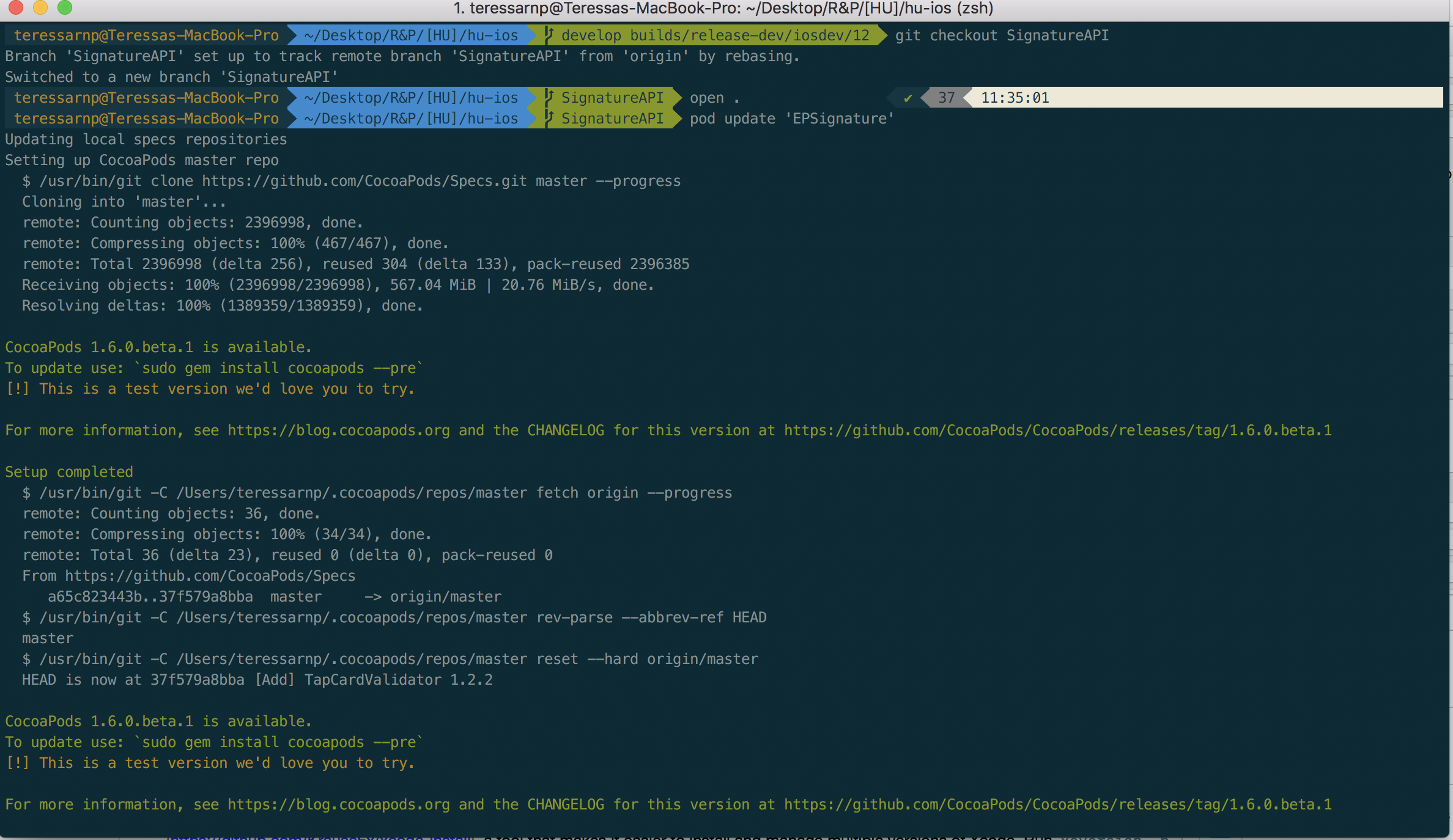 Pod Update Single Pod Not Working Properly · Issue 8070 · Cocoapodscocoapods · Github