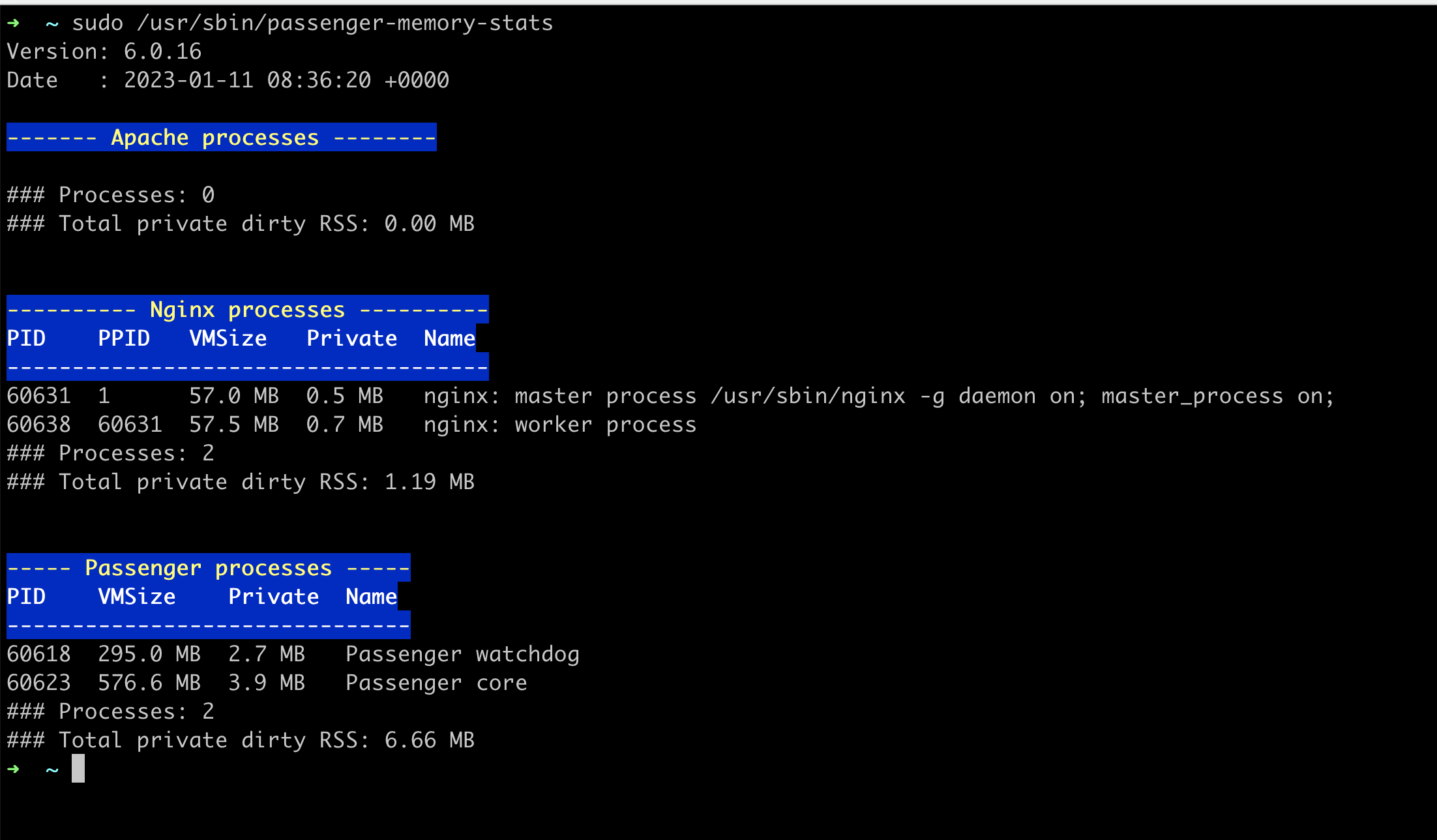 PassengerAgent server process is missing · Issue #2466 · phusion/passenger · GitHub