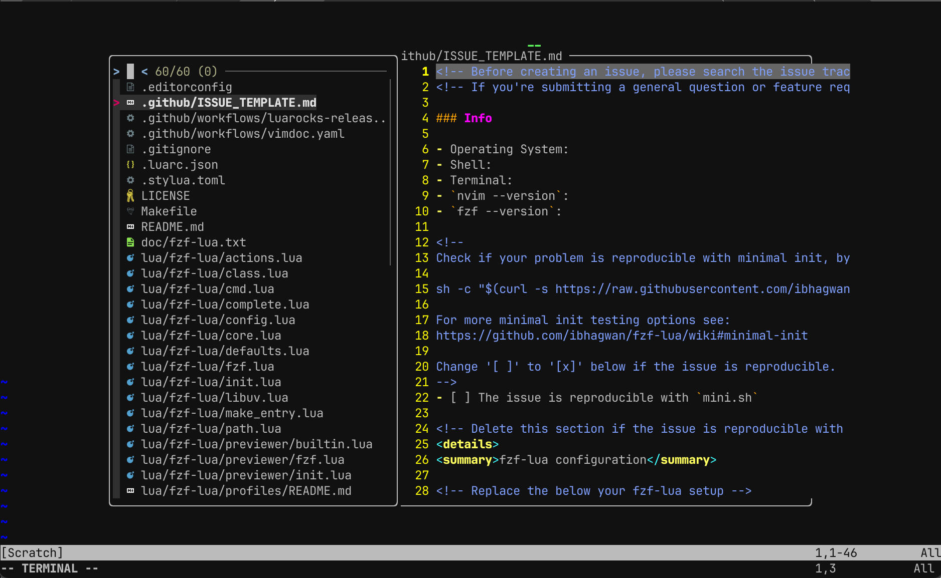 Preview Window Border Placement Wrong When Using Alpha Nvim · Issue