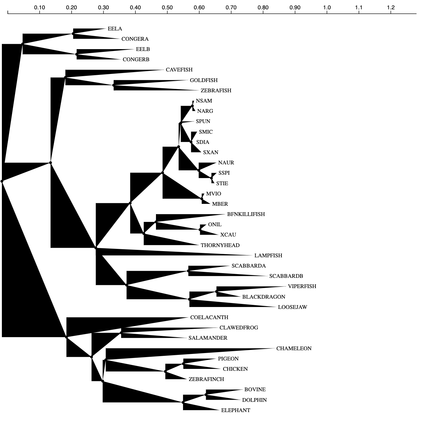 D3 v4 · Issue #44 · veg/phylotree.js · GitHub