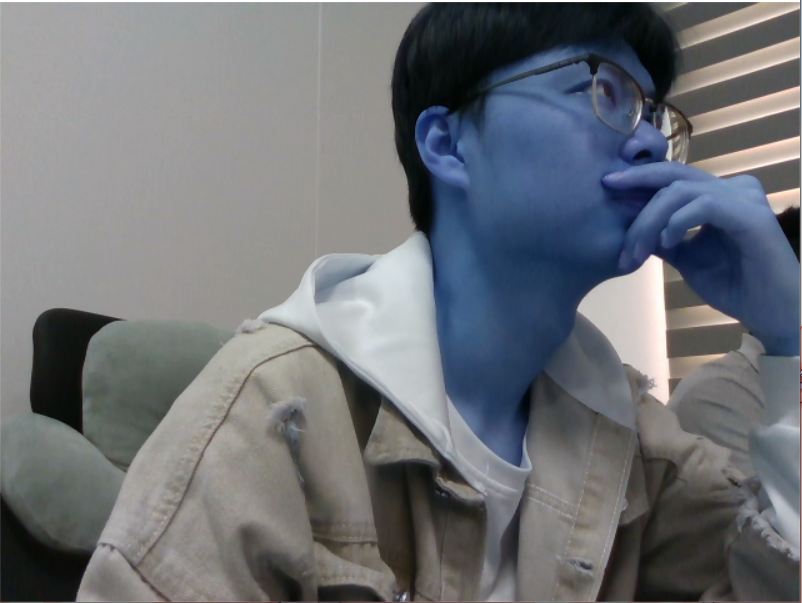 A problem when converting cv::mat to rs2::frame · Issue #11796 ...