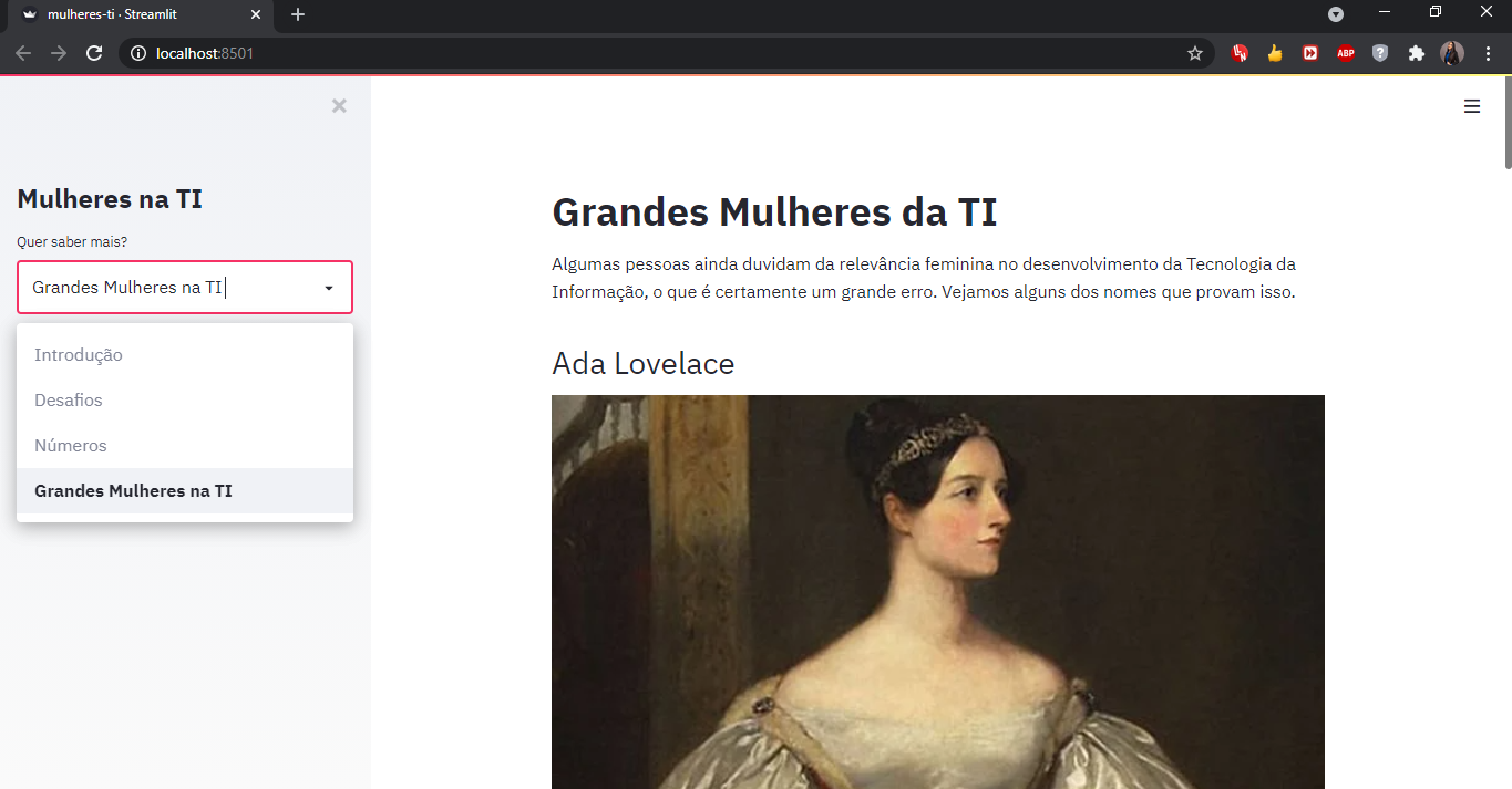 GitHub - kamilafariasg/streamlit-exemple