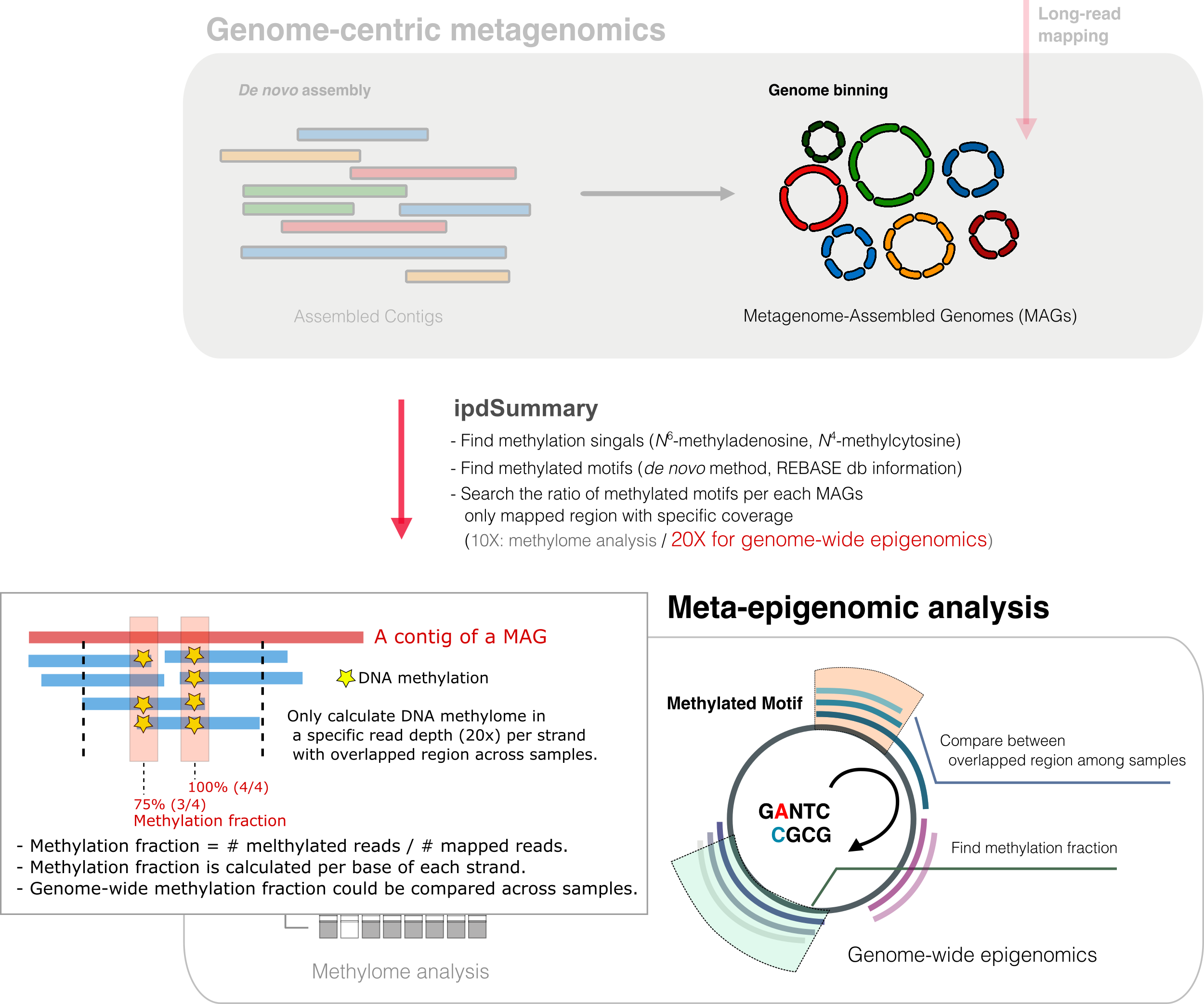 Meta-epigenomics/docs/Overlapped_SNMV.md at main · hoonjeseong/Meta ...