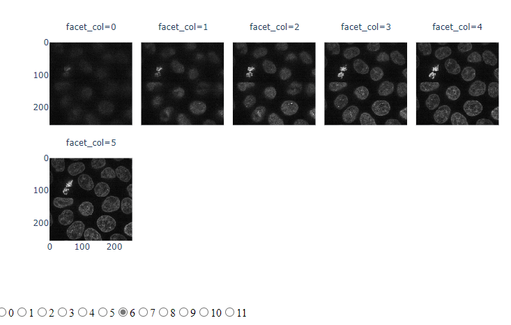 imshow facet plots integrated in dash not preserving grid structure ...