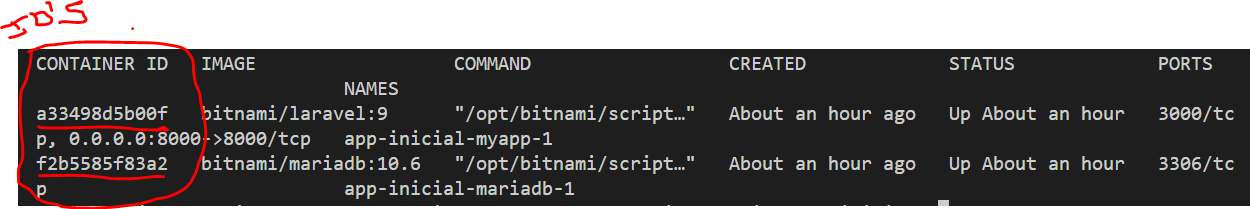 GitHub - ControleVersion/class-development-system-auction-v2: Training on Youtube to develop an ...