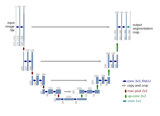 Github Brendan0403bonessegmentation Bones Segmentation By Deep Learning