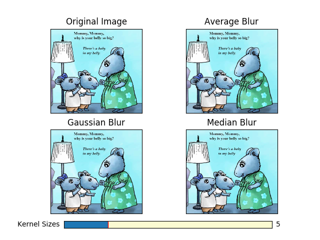 GitHub - MaryamBisadi/Blurring: blur an image with different methods