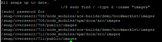 Enable Image Caching for Linux Snap · Issue #1301 · sct/overseerr · GitHub