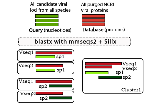Clustering method for nucleotide & protein sequences · Issue #177 · soedinglab/MMseqs2 · GitHub