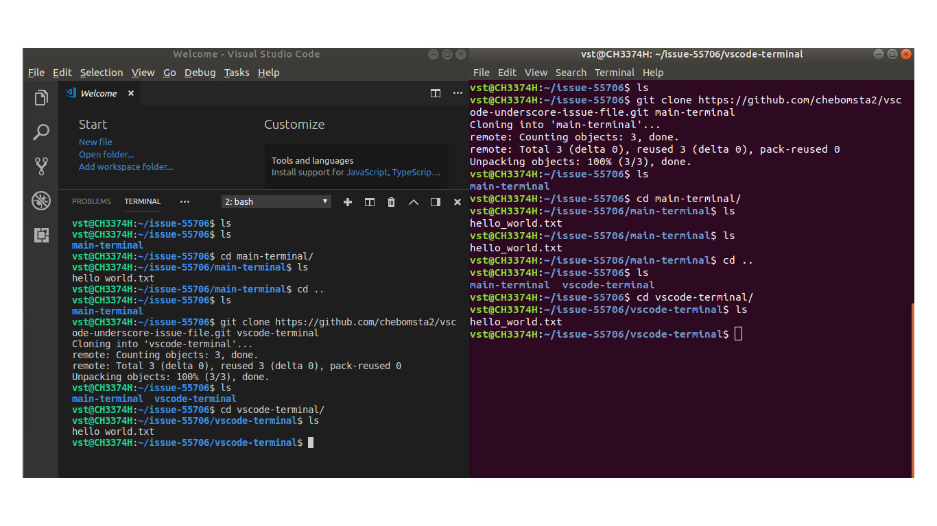 Underscore not visible · Issue #55706 · microsoft/vscode · GitHub