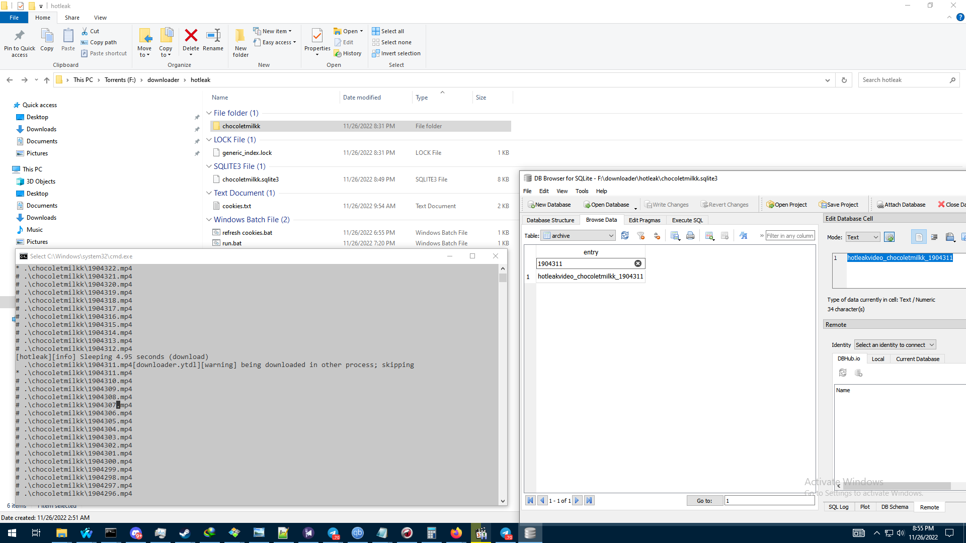 Bug Terminated Ytdl Generic Downloader Register Skipped Downloads To Archive File · Issue