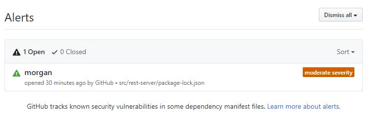 Potential Security Vulnerability · Issue 2396 · Microsoftpai · Github 1762