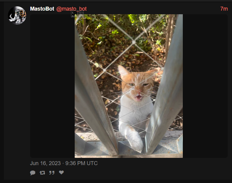Not all media displayed when combined video / gif / images · Issue #906 · zedeus/nitter · GitHub