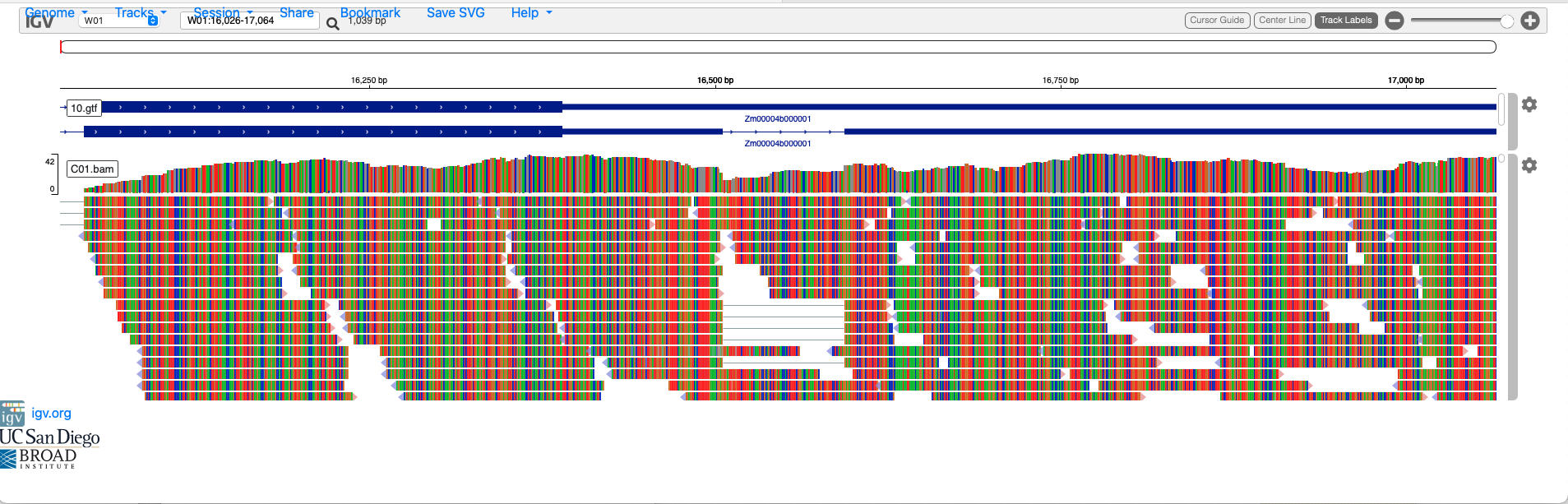 IGV web app: sequence is showing up on .bam tracks (alignments and coverage) and not above the ...