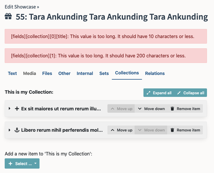 Provide server-side validation · Issue #1931 · bolt/core · GitHub