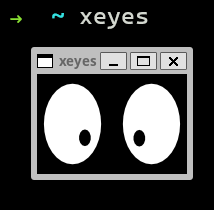 X11 GUI does not open anymore · Issue #853 · microsoft/wslg · GitHub