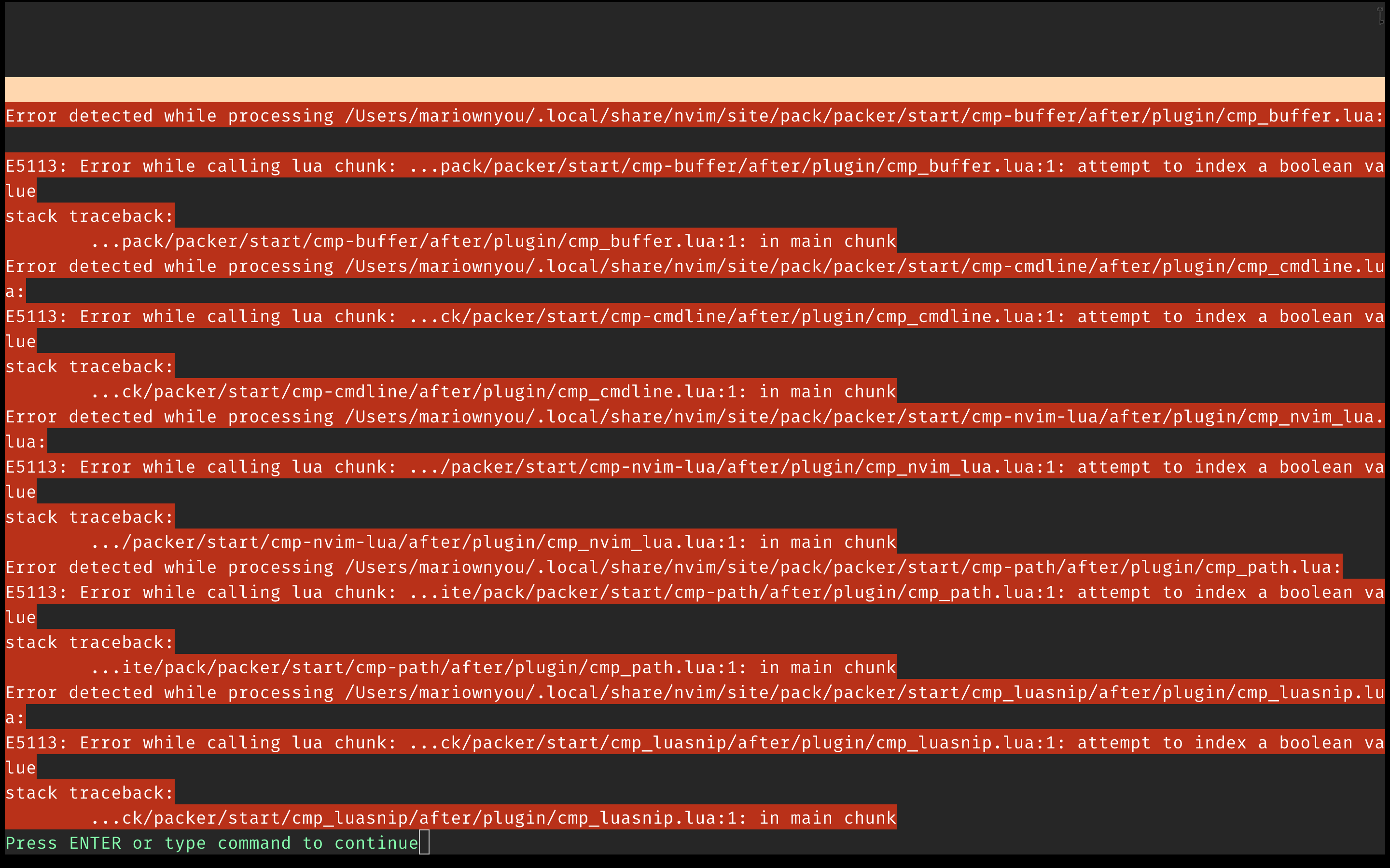 site/pack/packer/start/packer.nvim/lua/packer/update.lua:112: attempt to index local 'plugin' (a ...
