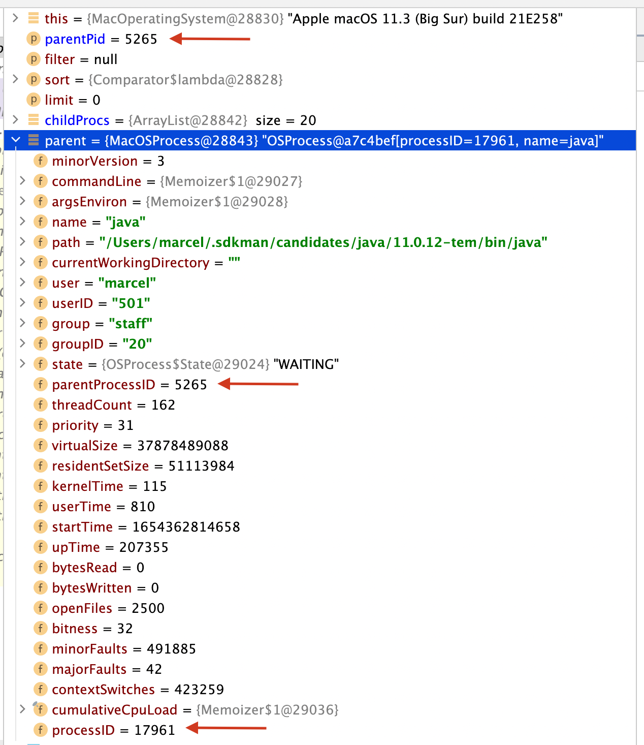 Missing child processes in OperatingSystem#getChildProcesses · Issue ...