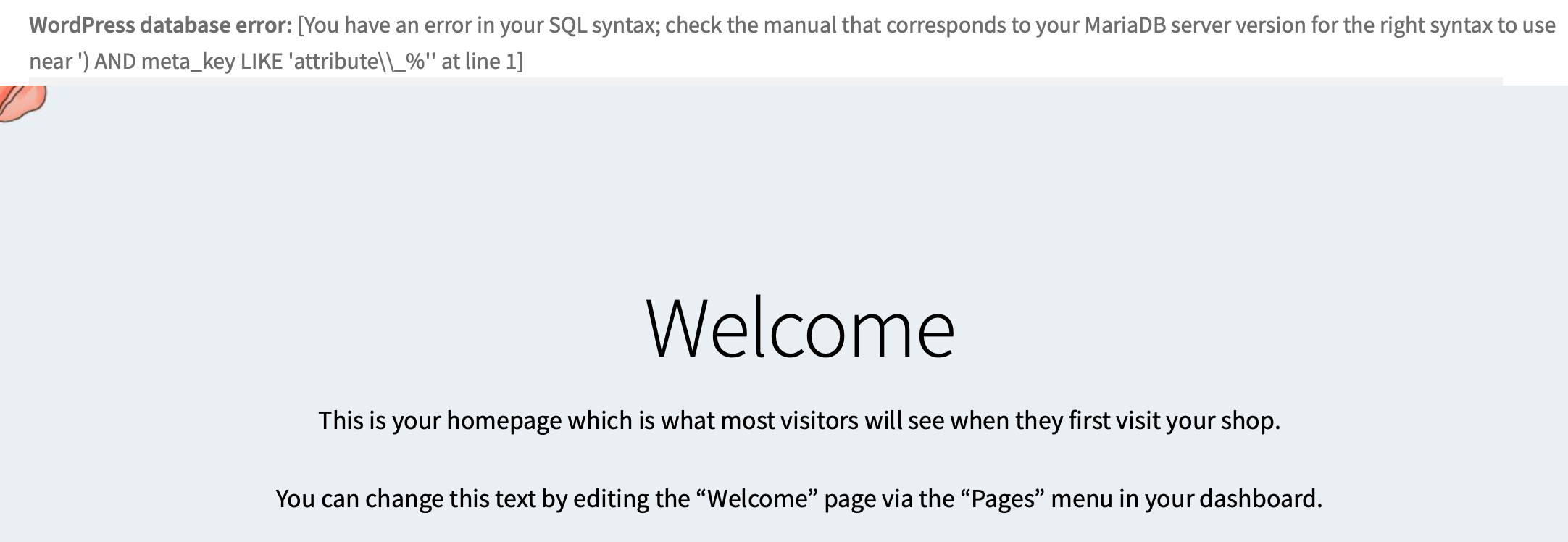 Mysql Syntax Error In Frontend When Using Mariadb · Issue 5303 · Woocommercewoocommerce Blocks