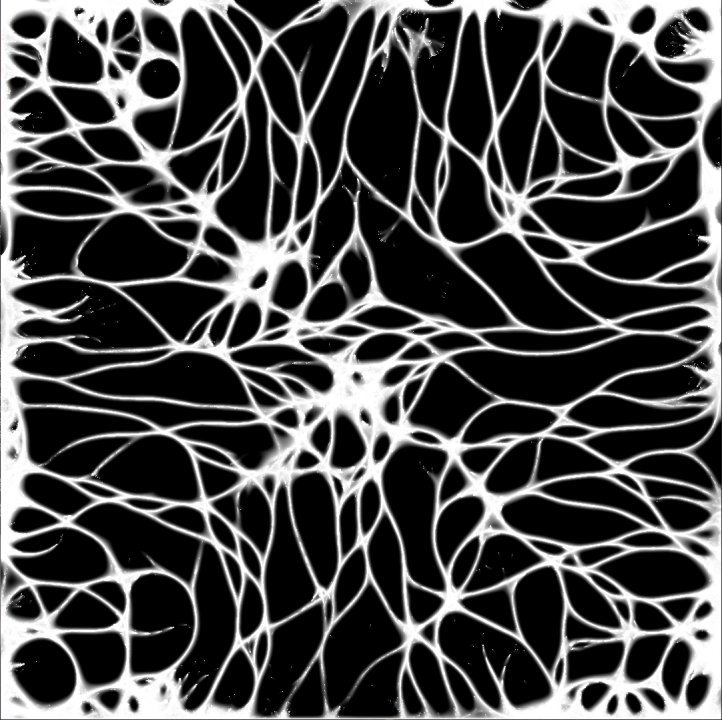 Github Adomas Alimasopengl Slimesim A Physarum Slime Mold Simulation Written In Cthat 
