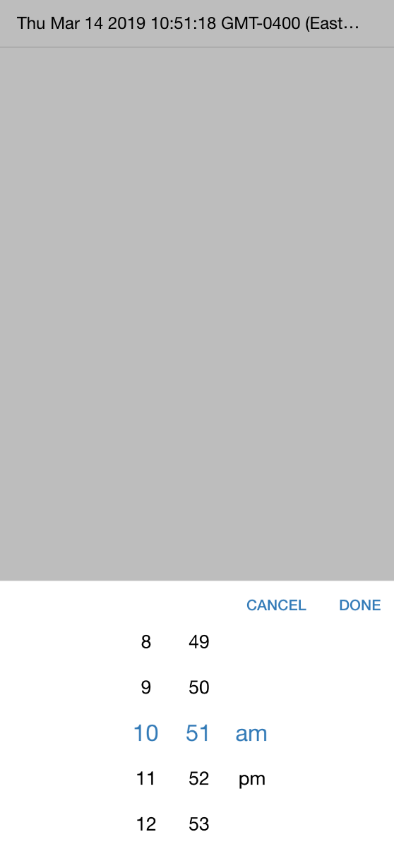 Ion datetime Default Value Is Not Local
