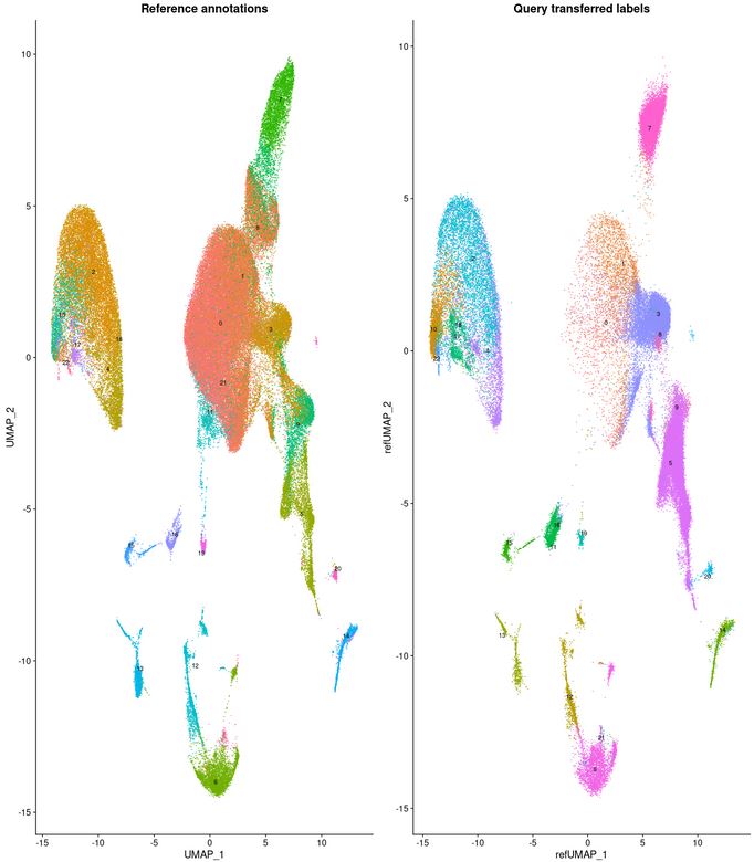 Different colored UMAPs in Unimodal UMAP projection · Issue #5582 ...