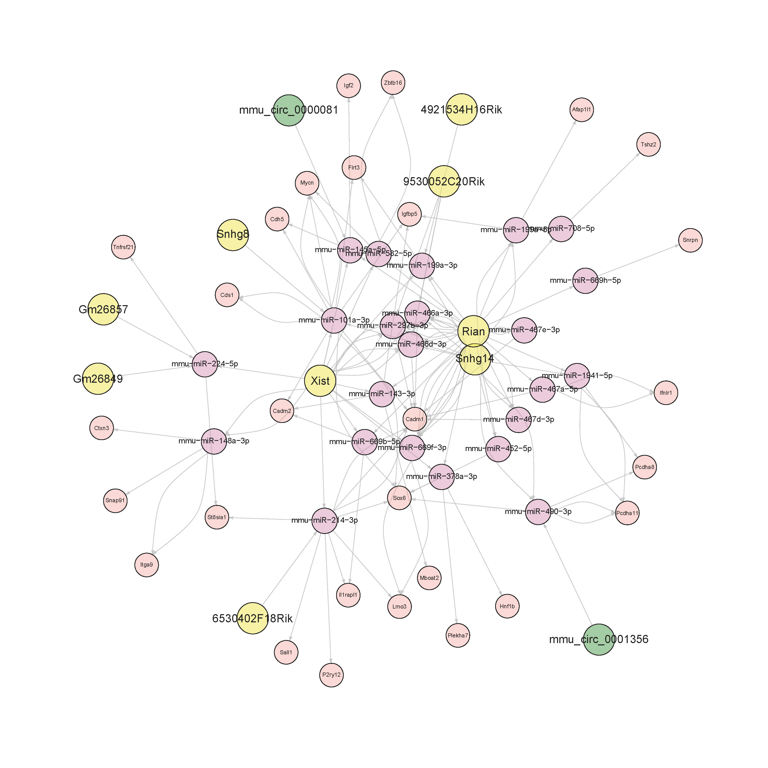 GitHub - PhiliJ/CEnetwork: CEnetwork: an R package that constructs and ...