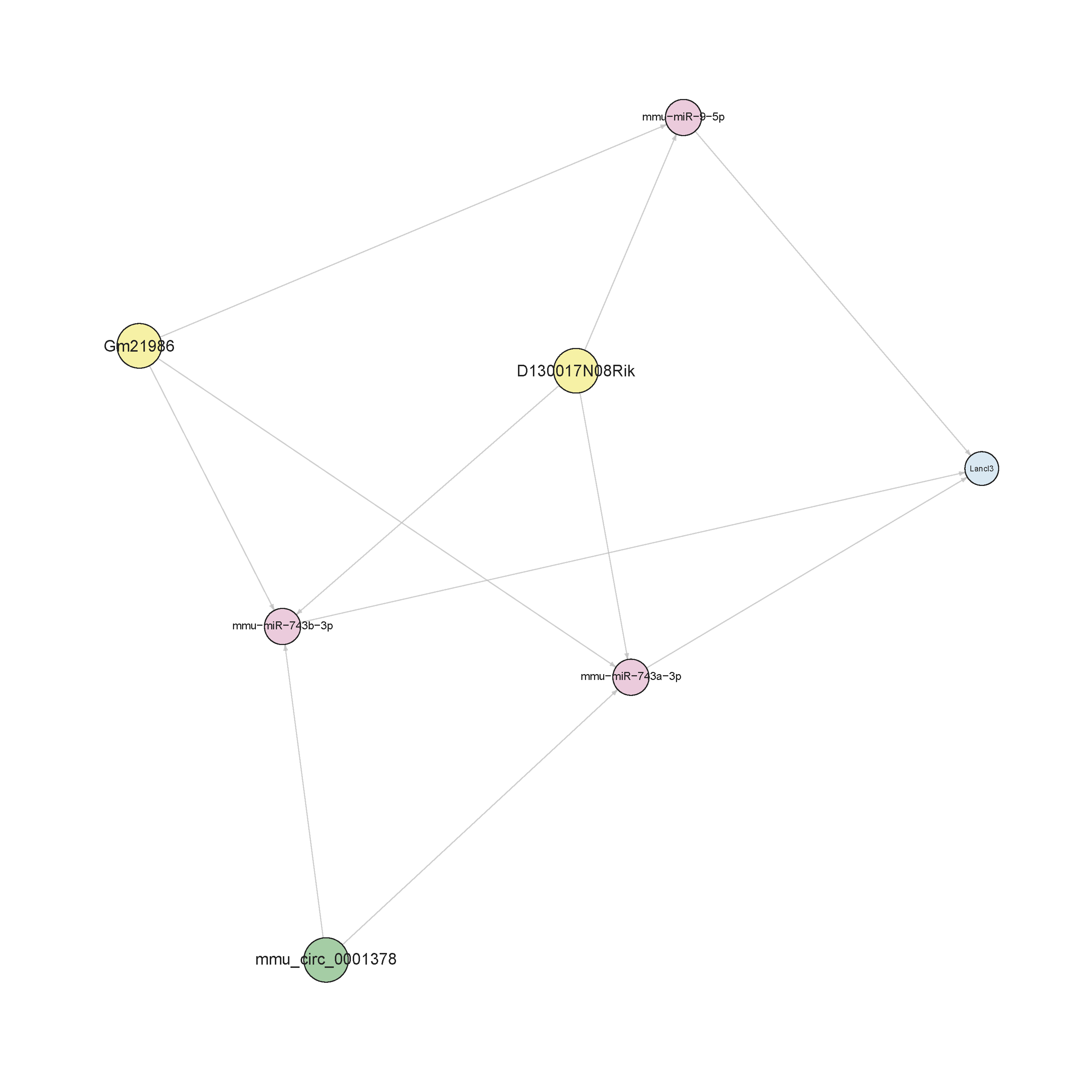 GitHub - PhiliJ/CEnetwork: CEnetwork: an R package that constructs and plots ceRNA network based ...
