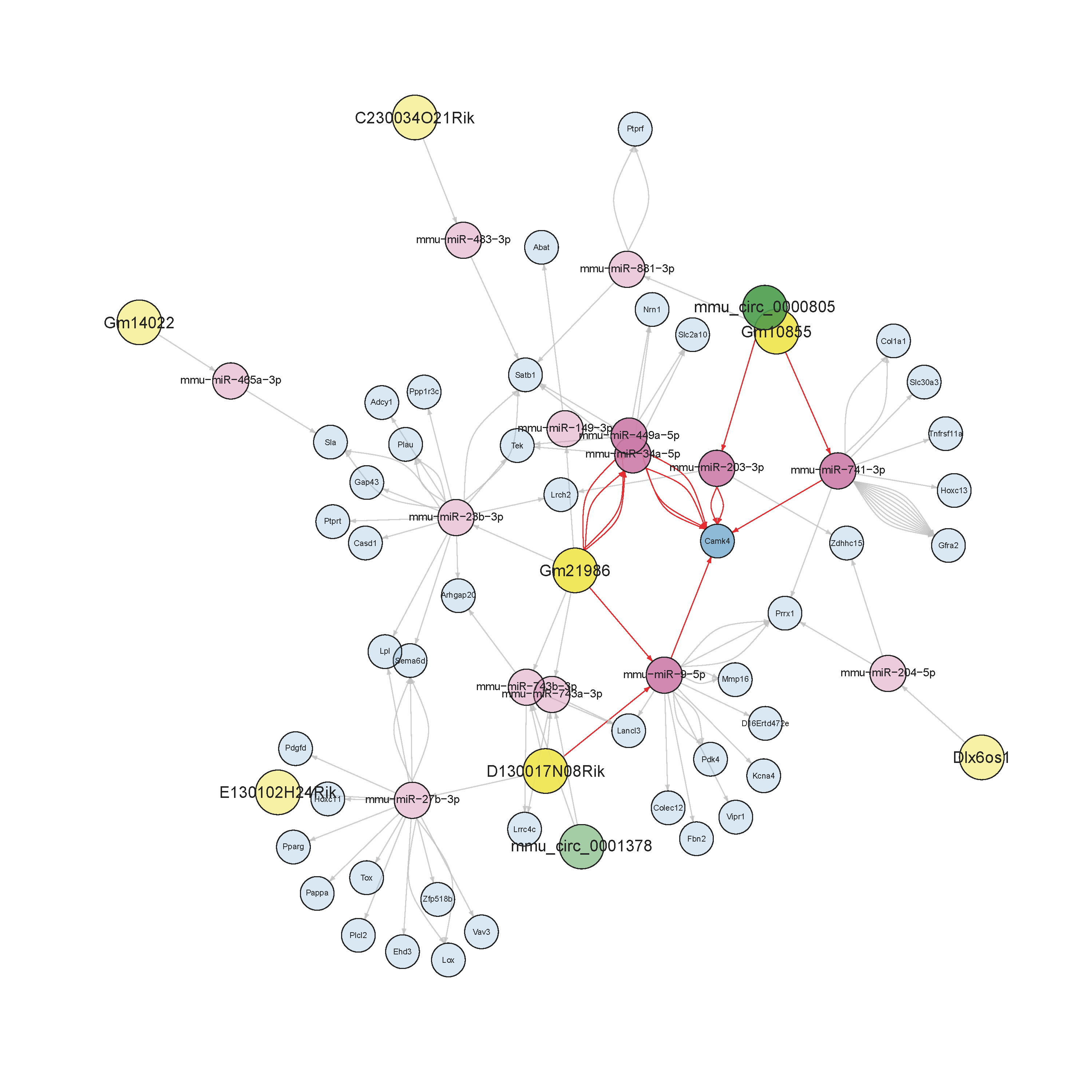 GitHub - PhiliJ/CEnetwork: CEnetwork: an R package that constructs and plots ceRNA network based ...