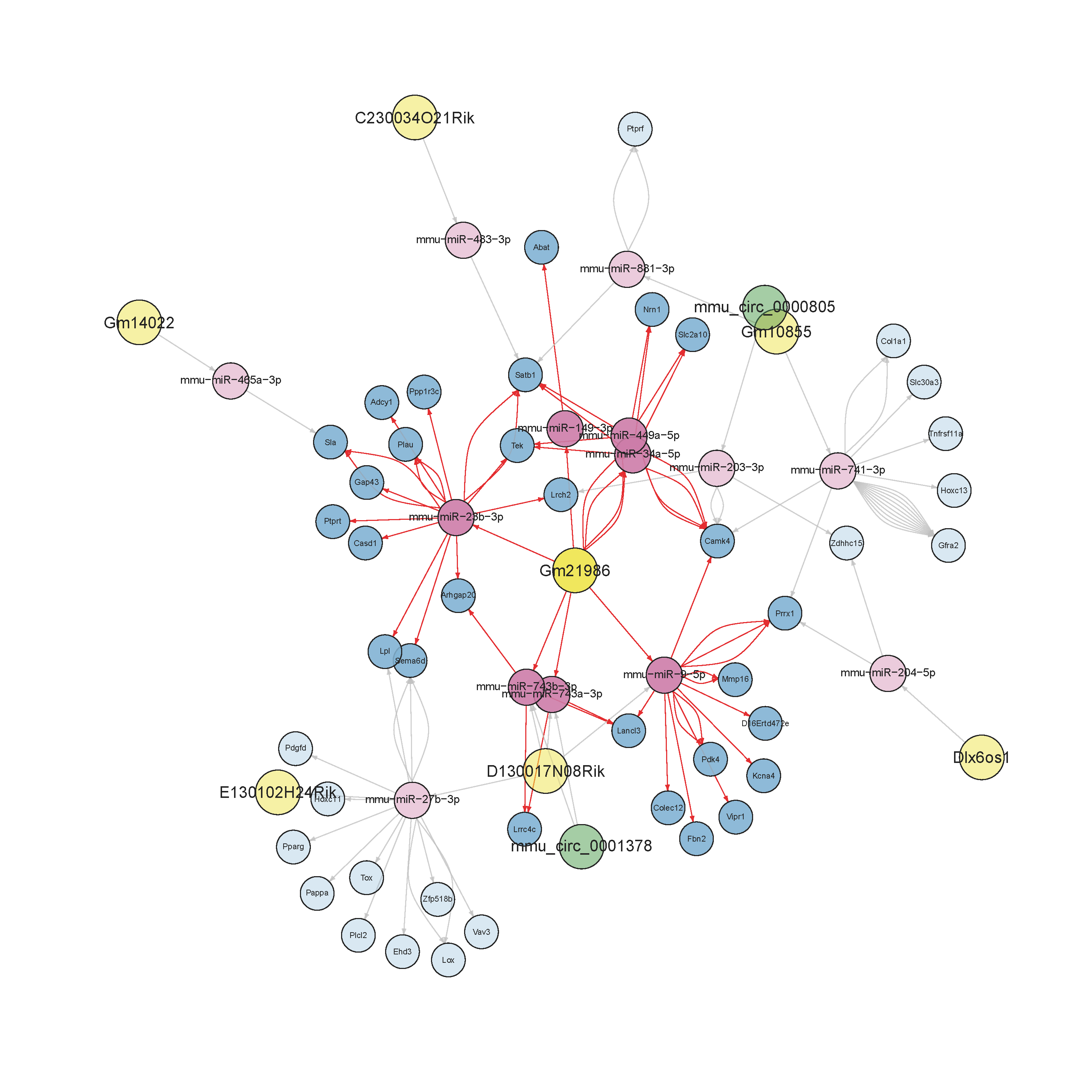 GitHub - PhiliJ/CEnetwork: CEnetwork: an R package that constructs and plots ceRNA network based ...