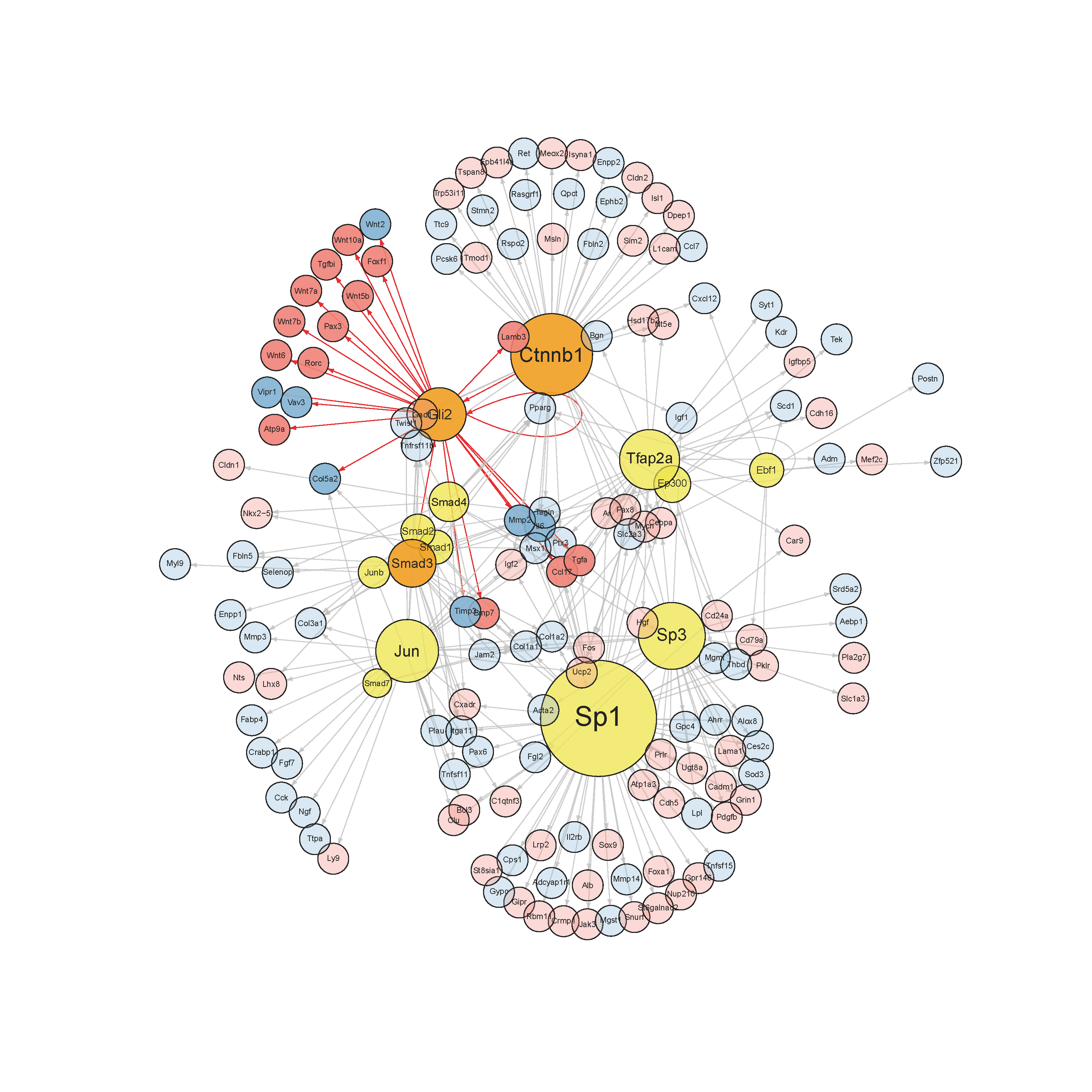 GitHub - PhiliJ/TFnetwork: TFnetwork: R package for DE-analysis, TF ...