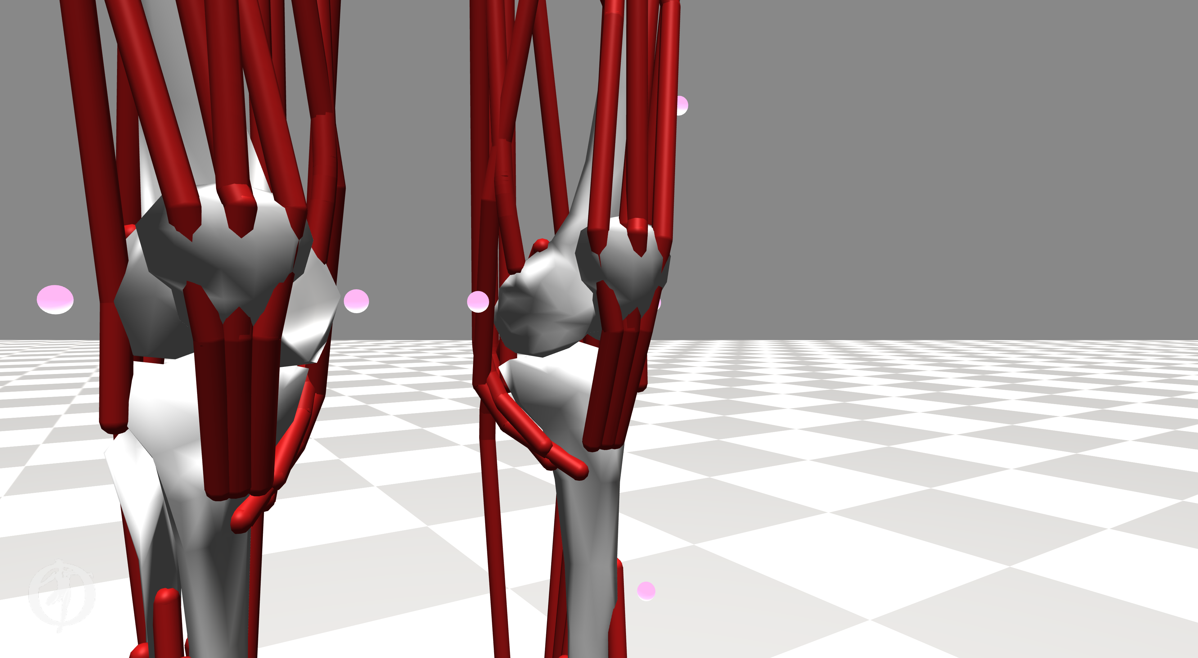 Wrap geometry quadrant display and muscle path around wrap object display unexpected · Issue ...