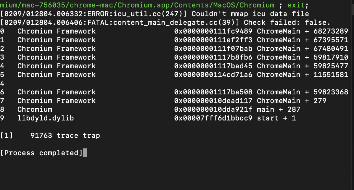 Failed to launch the browser process! · Issue #6841 · puppeteer/puppeteer · GitHub