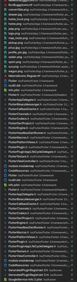 " 2" etc. files are being generated · Issue #57331 · flutter/flutter ...