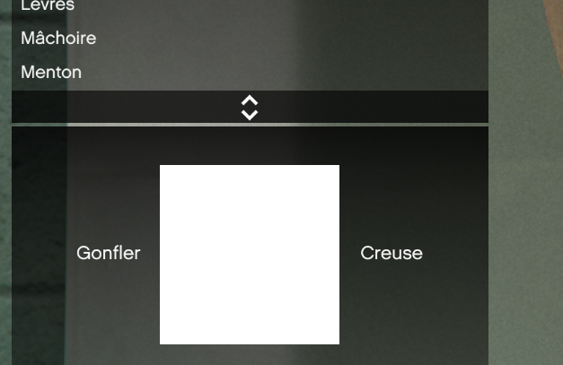 GridPanelHorizontal sliders bug · Issue #34 · NicooPasPris/nicoo_charcreator · GitHub