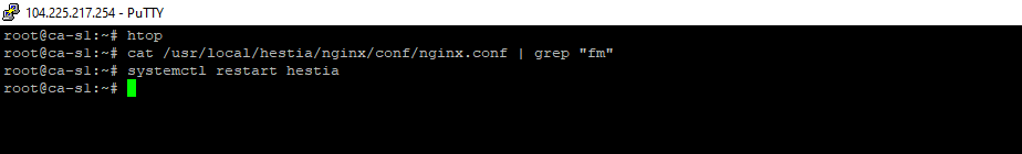 File Manager not working · Issue #880 · hestiacp/hestiacp · GitHub