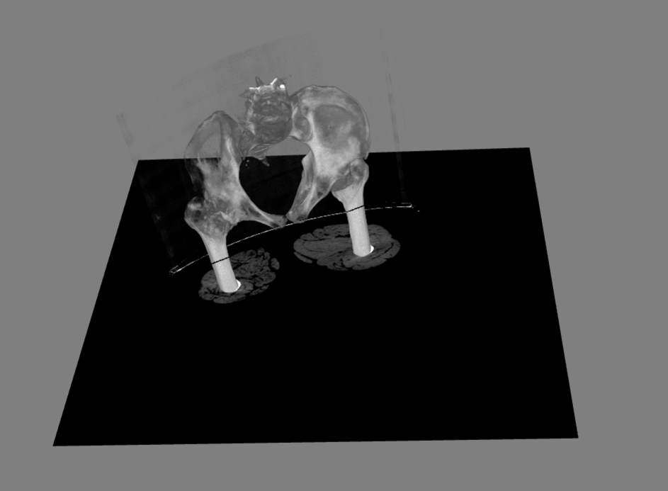 Code Logic Error In Imagereslicejs · Issue 2714 · Kitwarevtk Js · Github