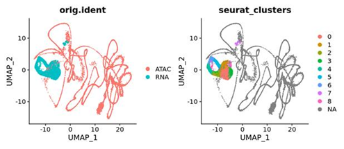 scATAC-seq and scRNA-seq integration issue · satijalab seurat ...