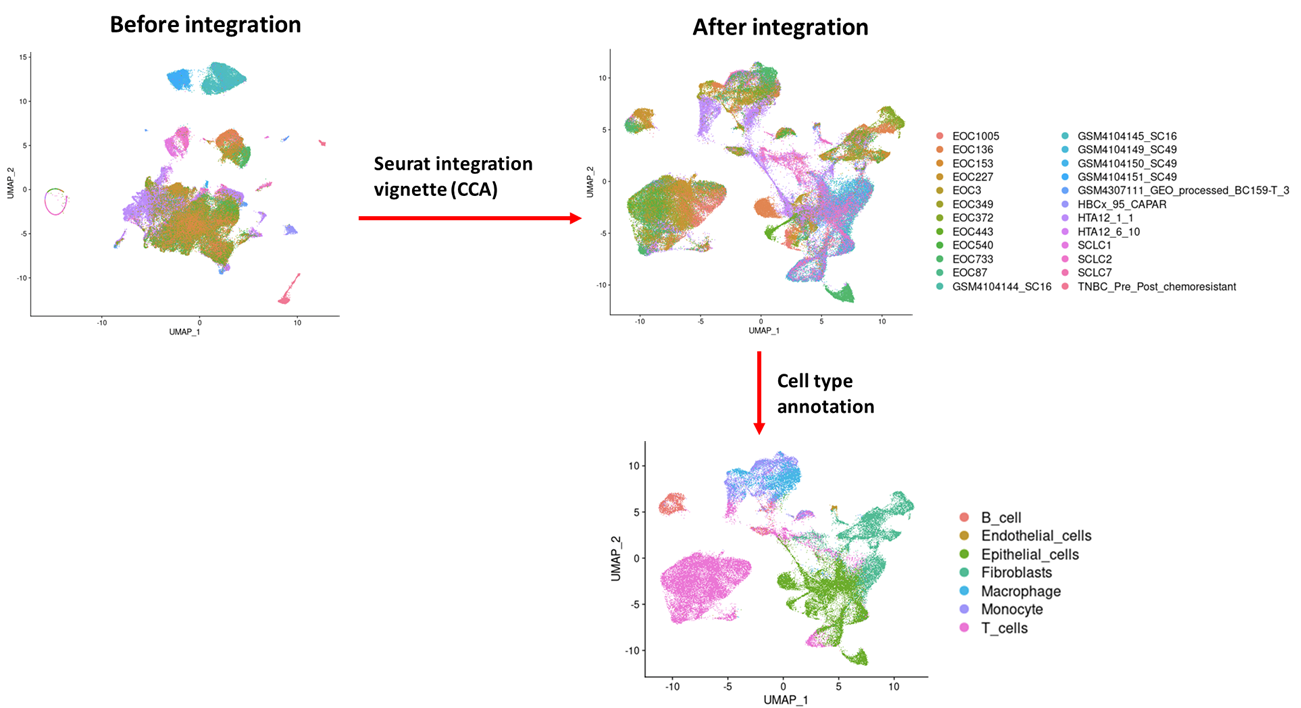 QC check for single-cell data (scRNA-seq) integration · Issue #7120 · satijalab/seurat · GitHub