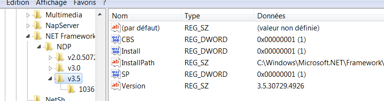 Custom WPF UI - Show dotNet Licence Prompt as BootStrapp Window · Issue #389 · oleg-shilo ...