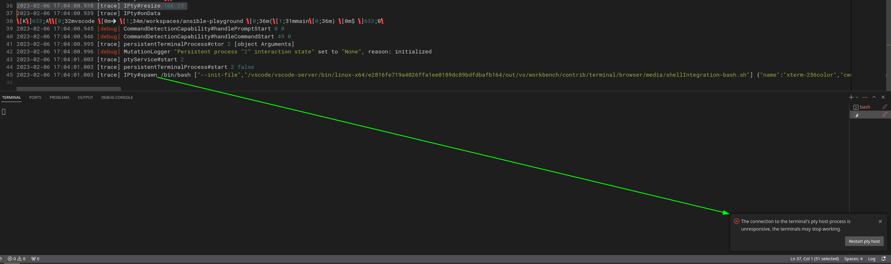 Showing Blank Terminal · Issue #173483 · microsoft/vscode · GitHub