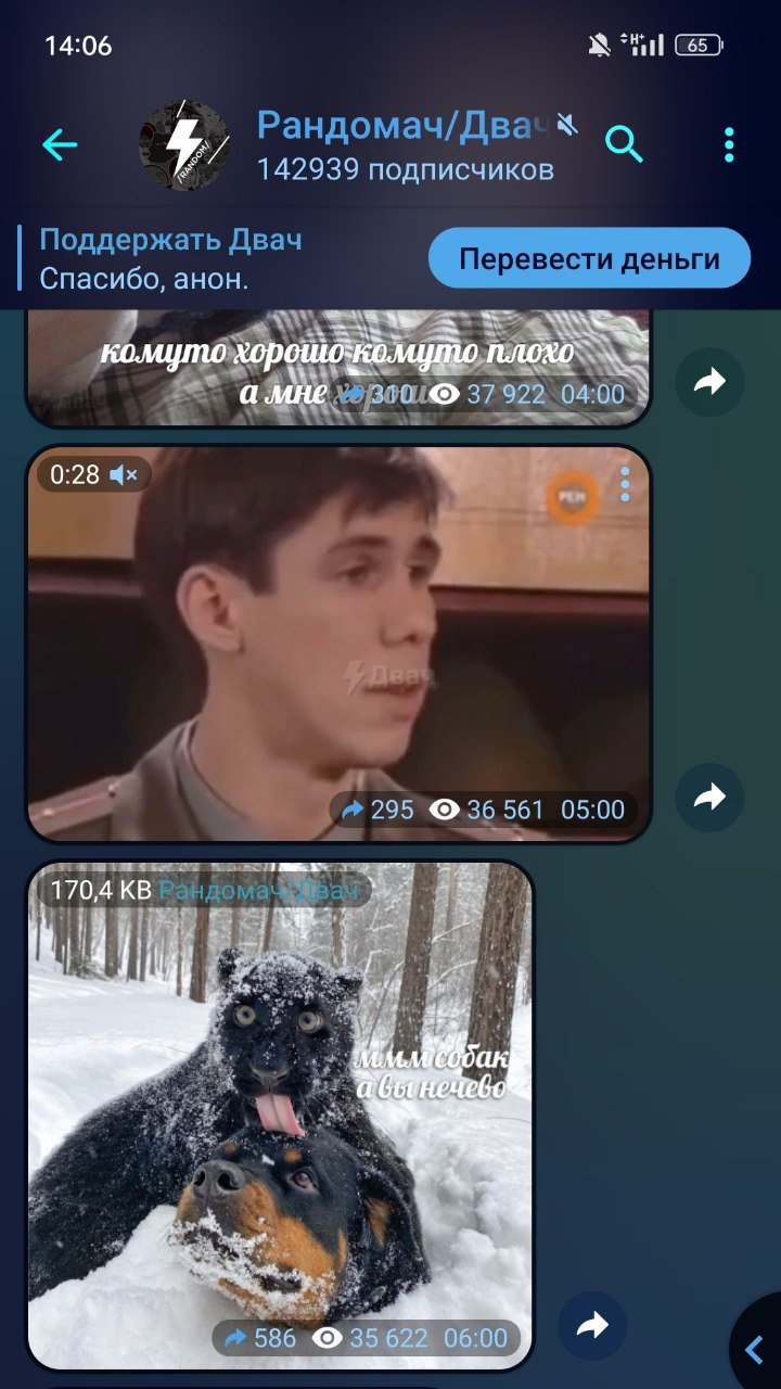[Feature Request] Repost counter for posts next to views counter ...