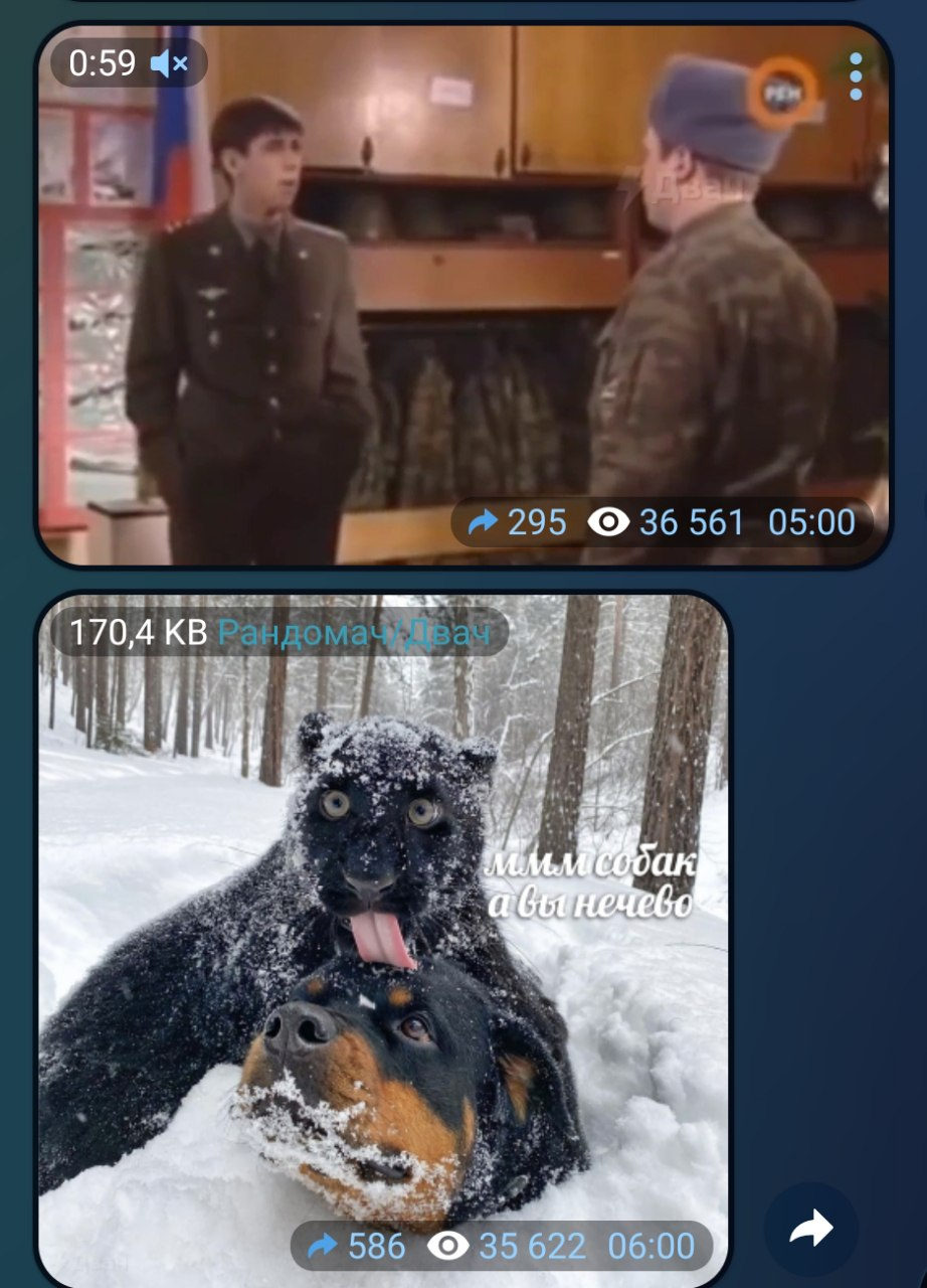 [Feature Request] Repost counter for posts next to views counter ...