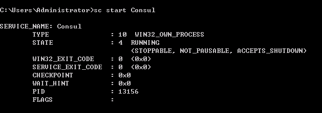 about Installing Consul as a Service · Issue #6318 · hashicorp/consul ...